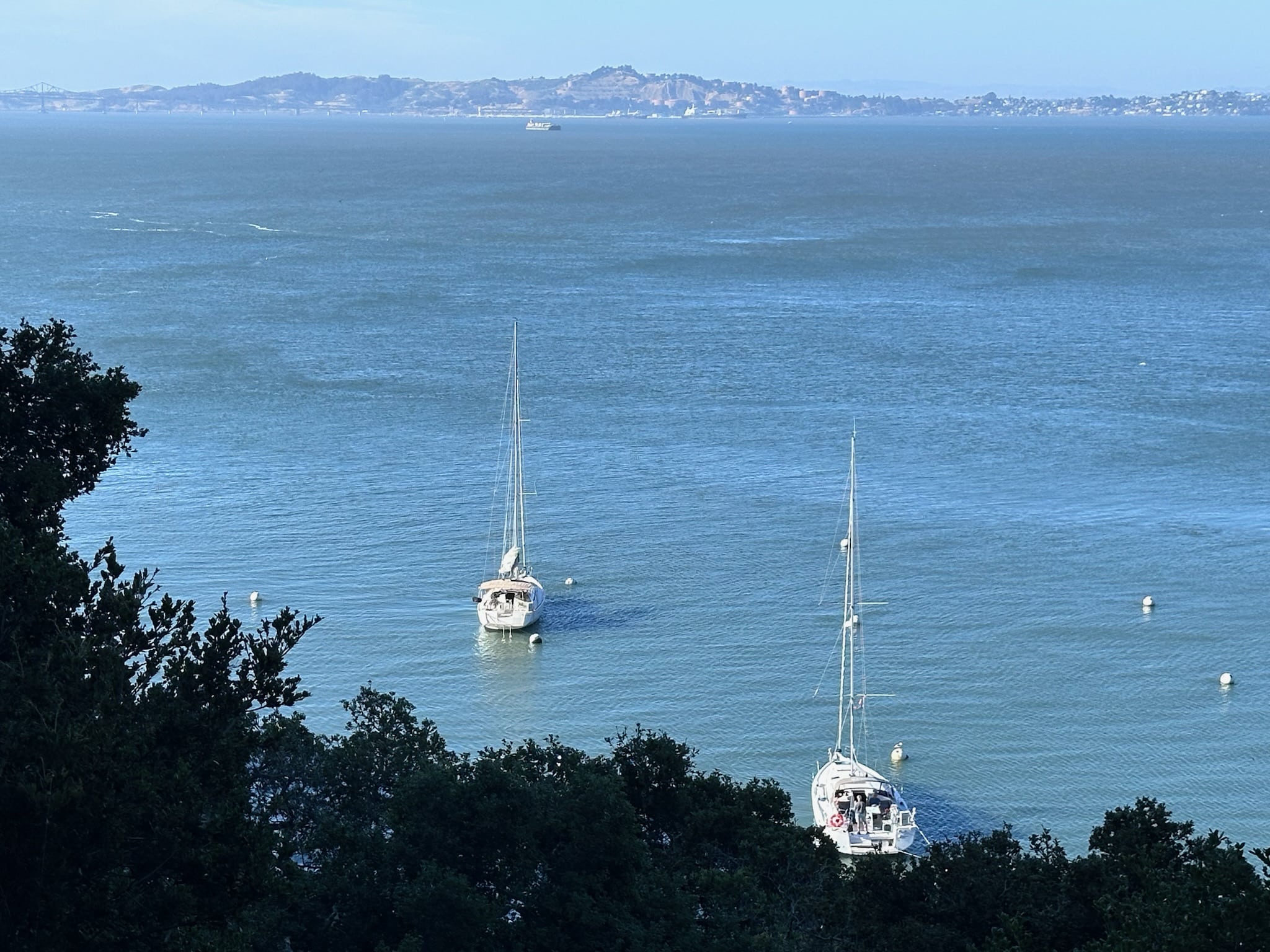 Weekend Sailing, Dining, and Relaxation on the SF Bay | Zosca Sailing